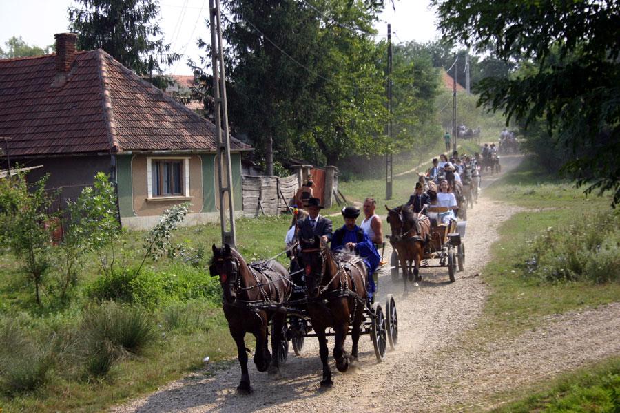 Localități | Cetariu | Ovidan